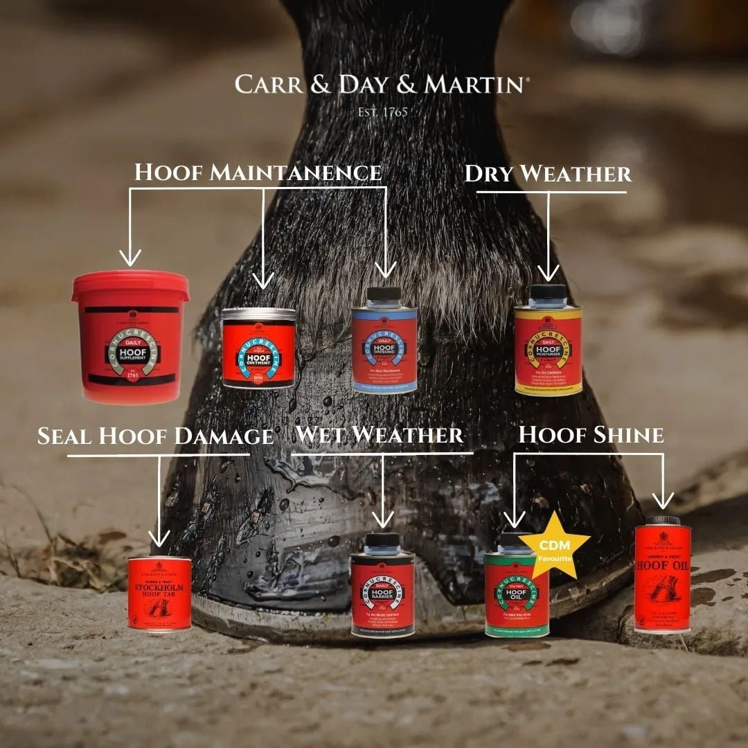 Ultimate Guide to Hoof Care: Top Products Unveiled – Top Paddock