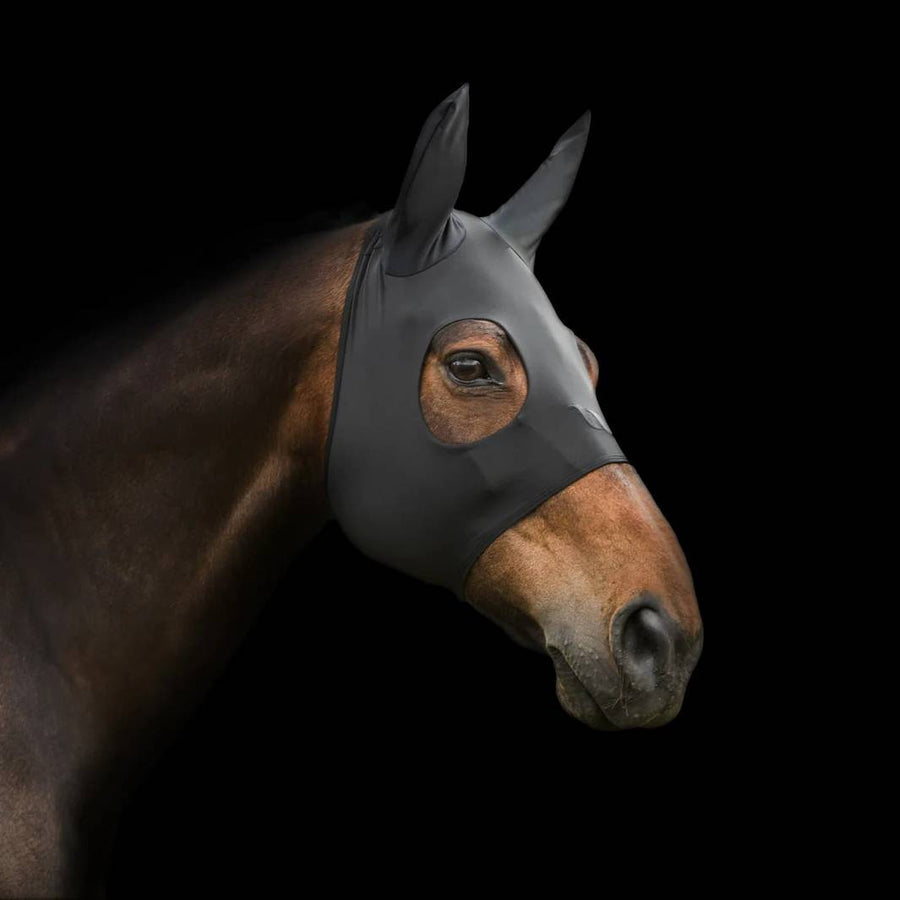 Benefits of Compression Hoods for Horses for Spooky Horses – Top Paddock