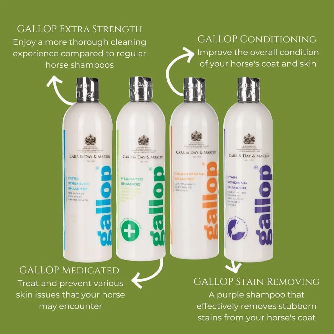 The Ultimate Horse Shampoo Breakdown for Stunning and Healthy Coats ...